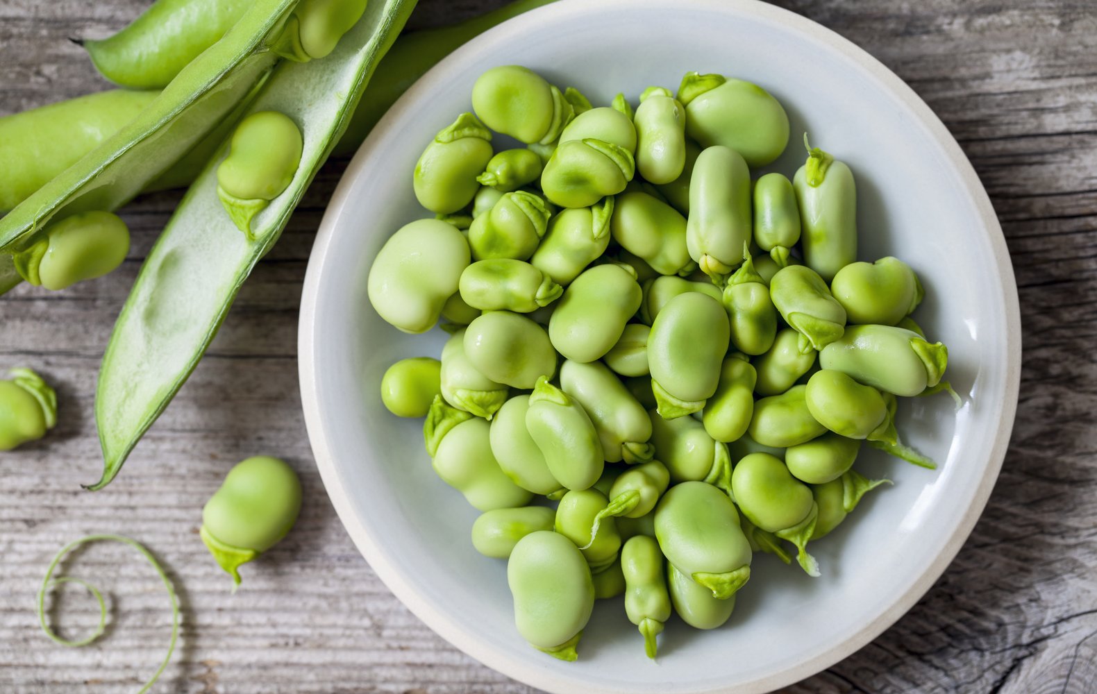 Come Cucinare le Fave - Il Club delle Ricette