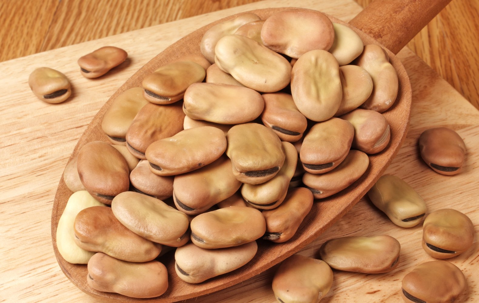 Come Cucinare le Fave - Il Club delle Ricette